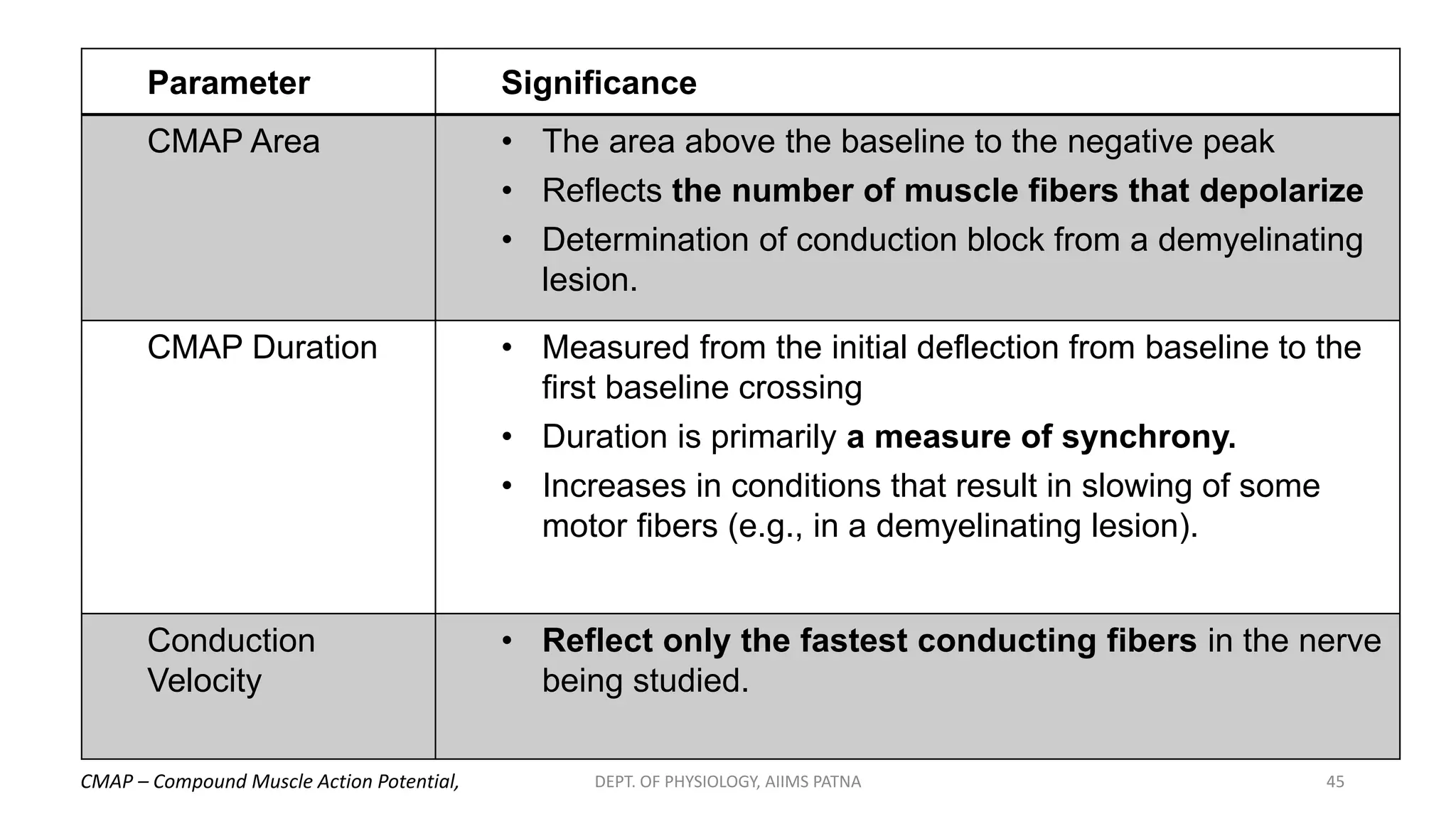 Interpretation of Nerve Conduction Study Findings | PDF