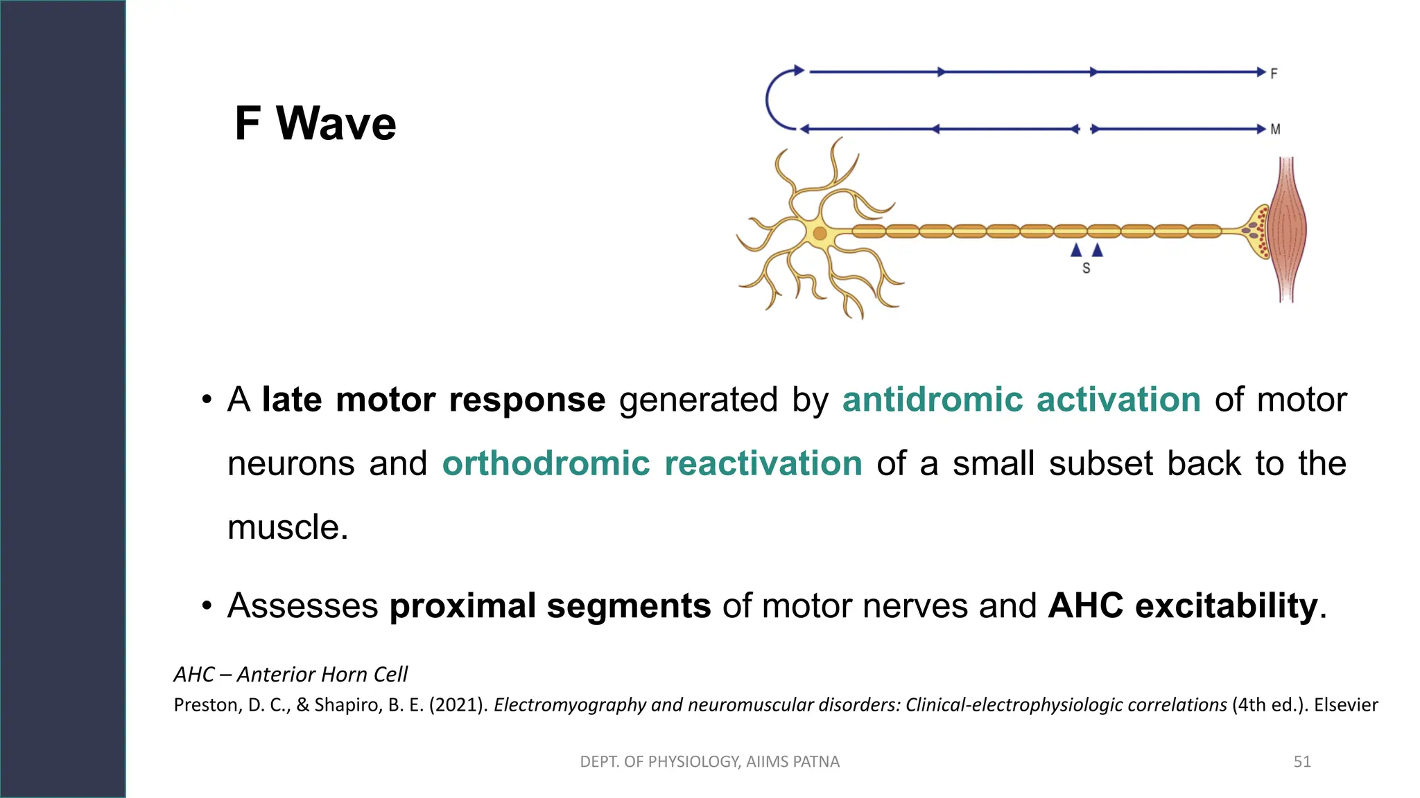 Interpretation of Nerve Conduction Study Findings | PDF