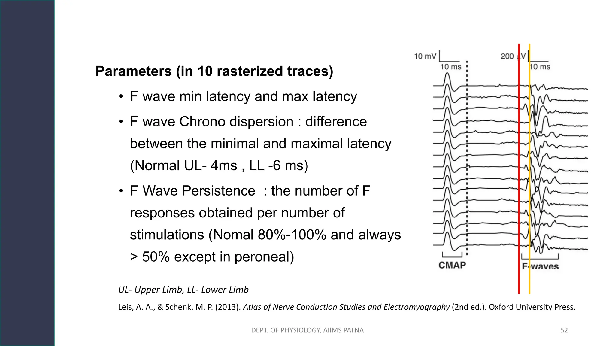 Interpretation of Nerve Conduction Study Findings | PDF
