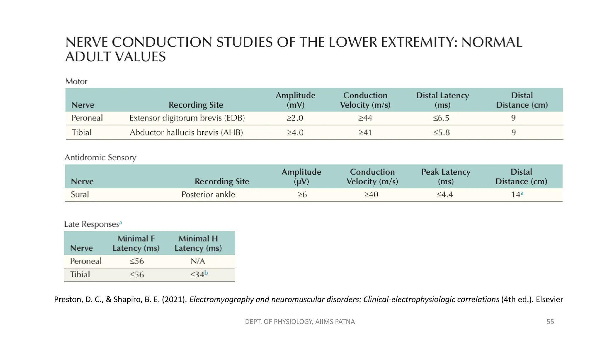 Interpretation of Nerve Conduction Study Findings | PDF