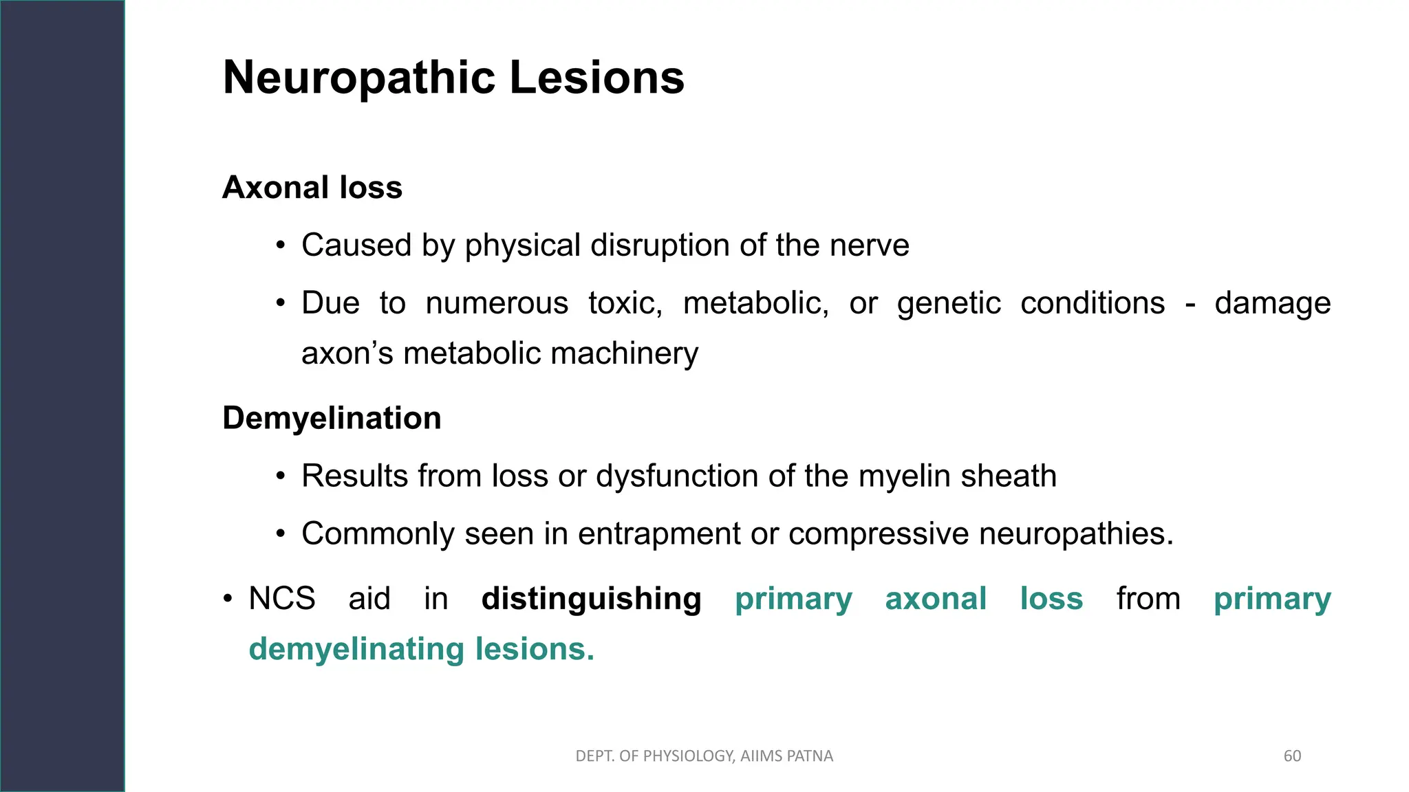 Interpretation of Nerve Conduction Study Findings | PDF