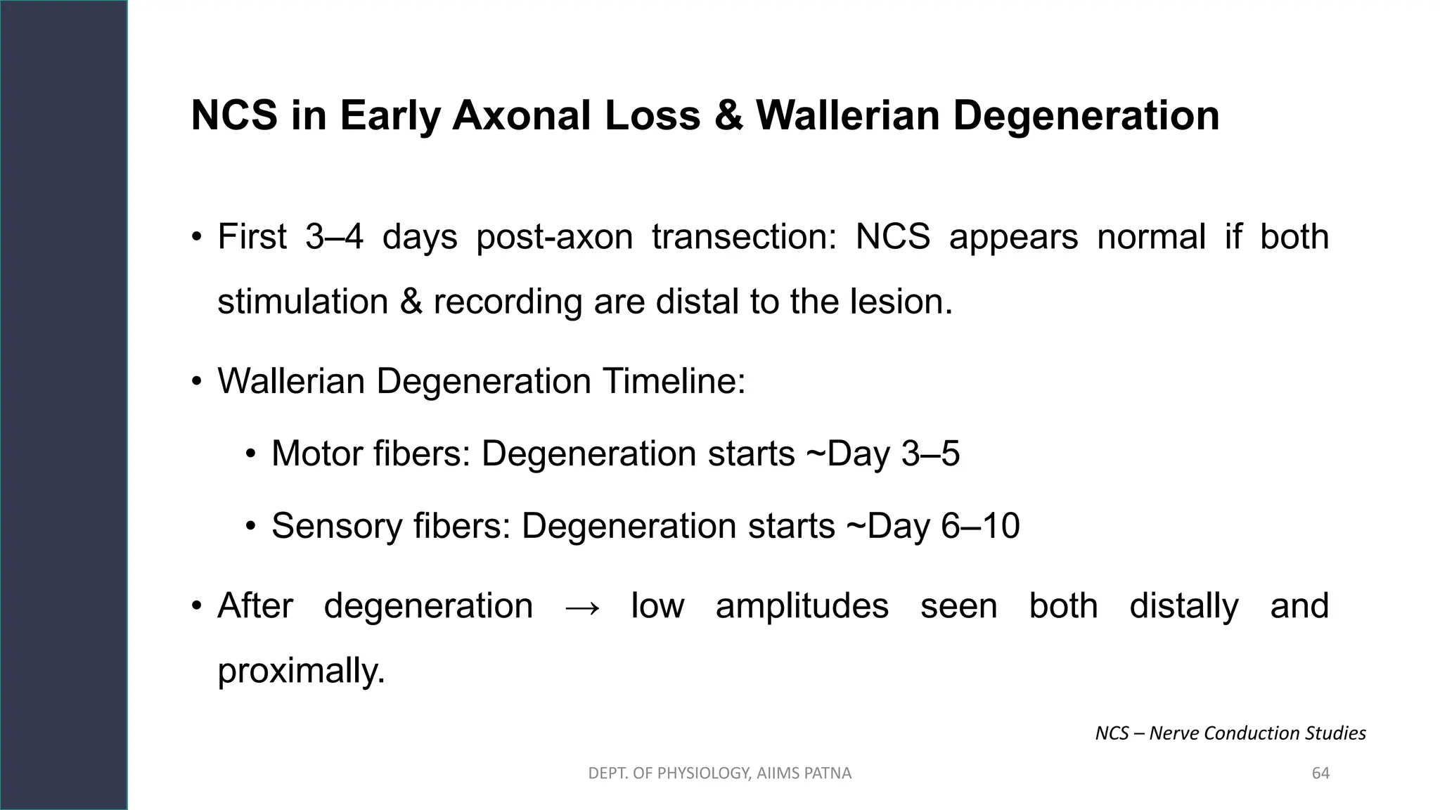 Interpretation of Nerve Conduction Study Findings | PDF