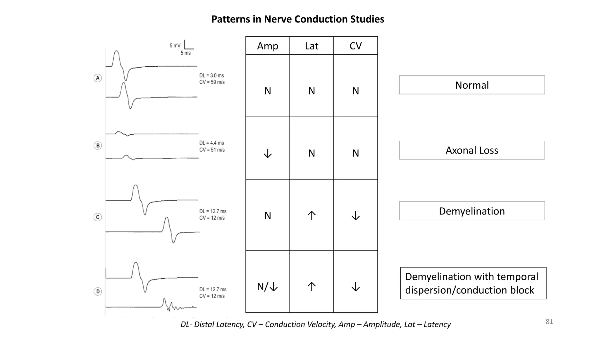 Interpretation of Nerve Conduction Study Findings | PDF