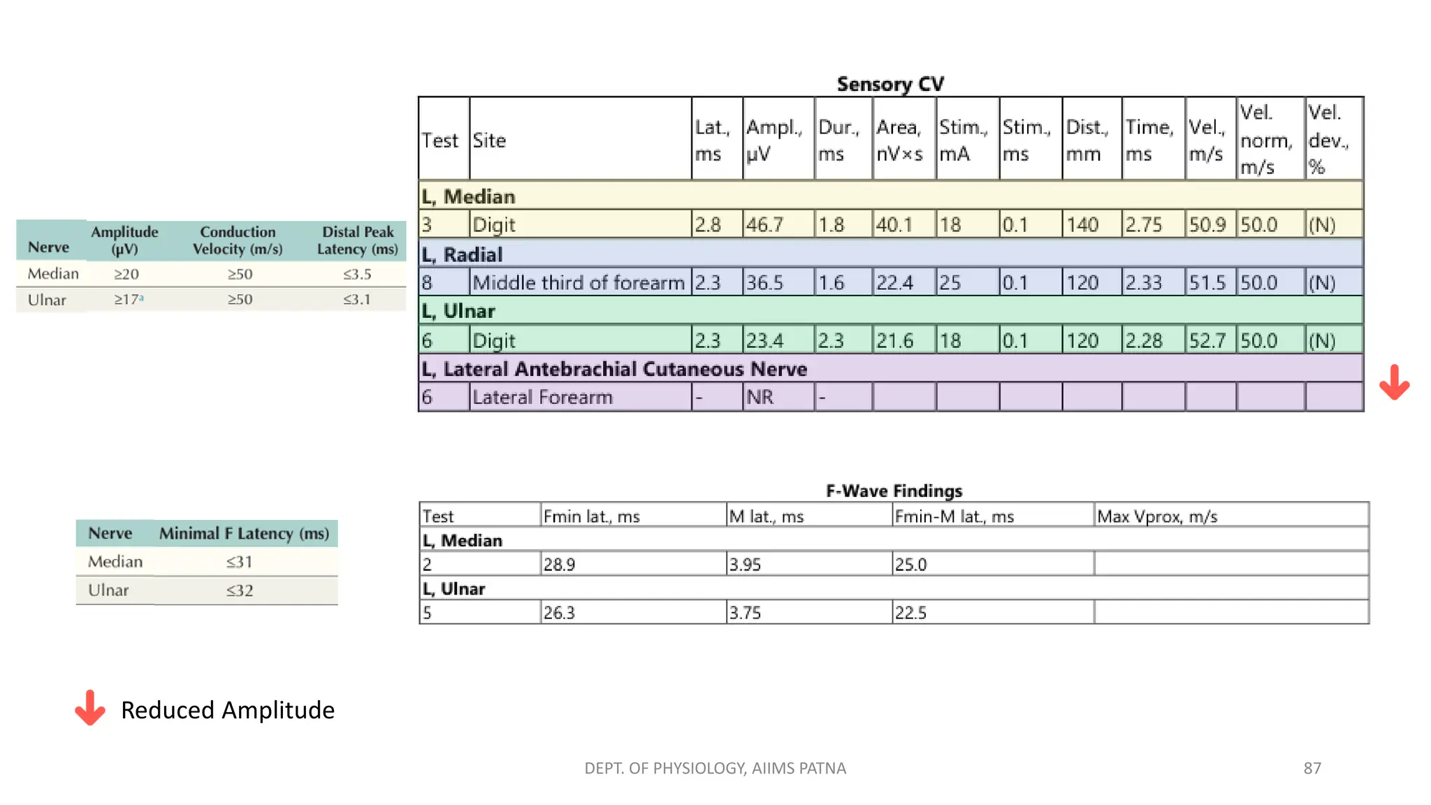 Interpretation of Nerve Conduction Study Findings | PDF