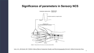 Interpretation of Nerve Conduction Study Findings | PDF