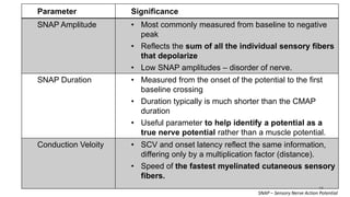 Interpretation of Nerve Conduction Study Findings | PDF