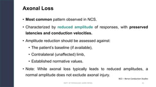Interpretation of Nerve Conduction Study Findings | PDF