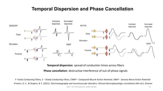 Interpretation of Nerve Conduction Study Findings | PDF