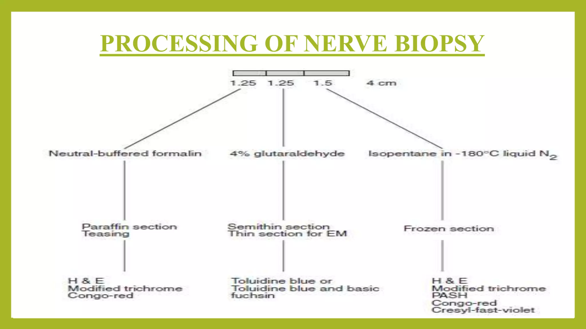 Interpretation of nerve biopsy | PPTX