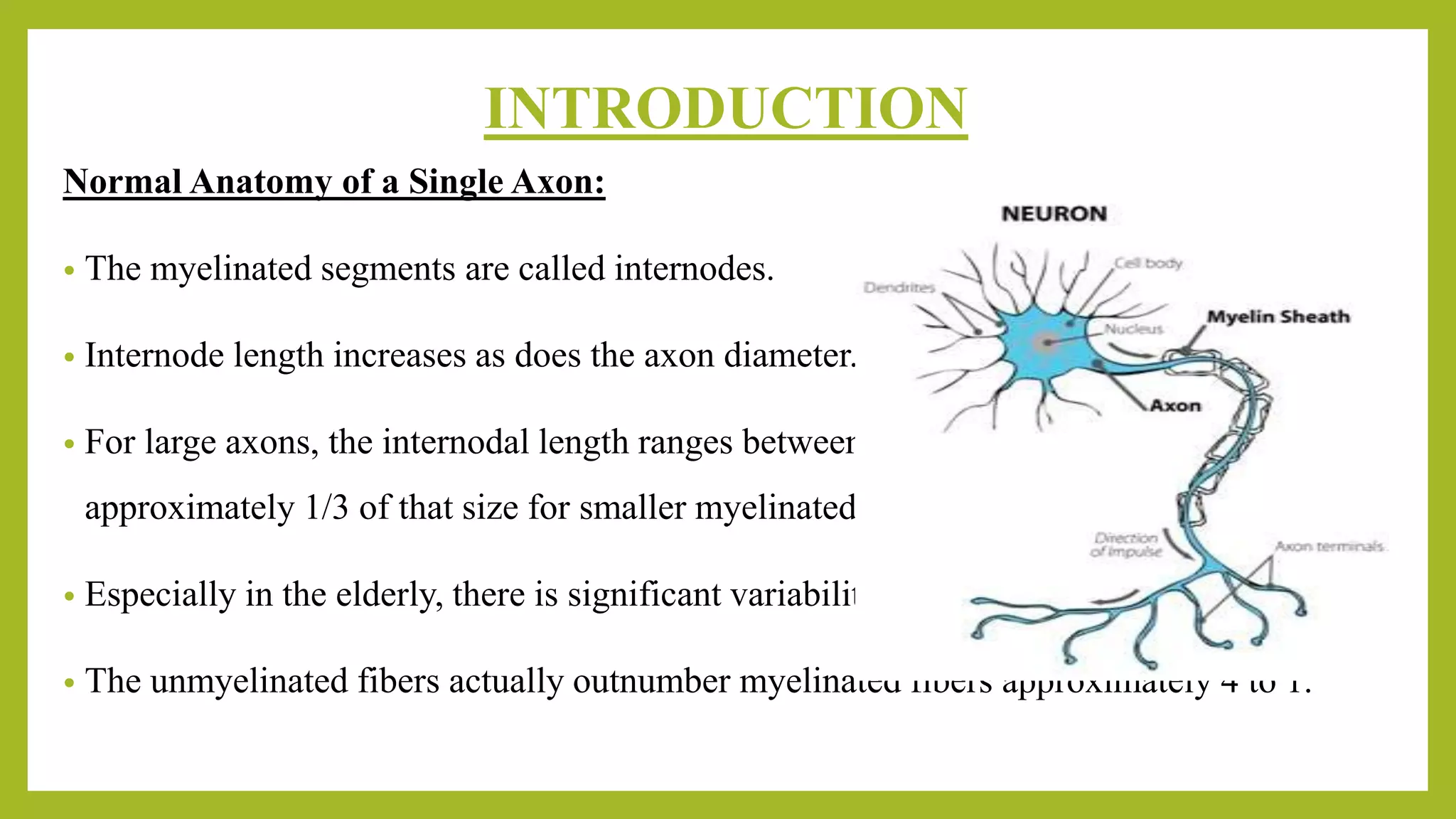 Interpretation of nerve biopsy | PPTX