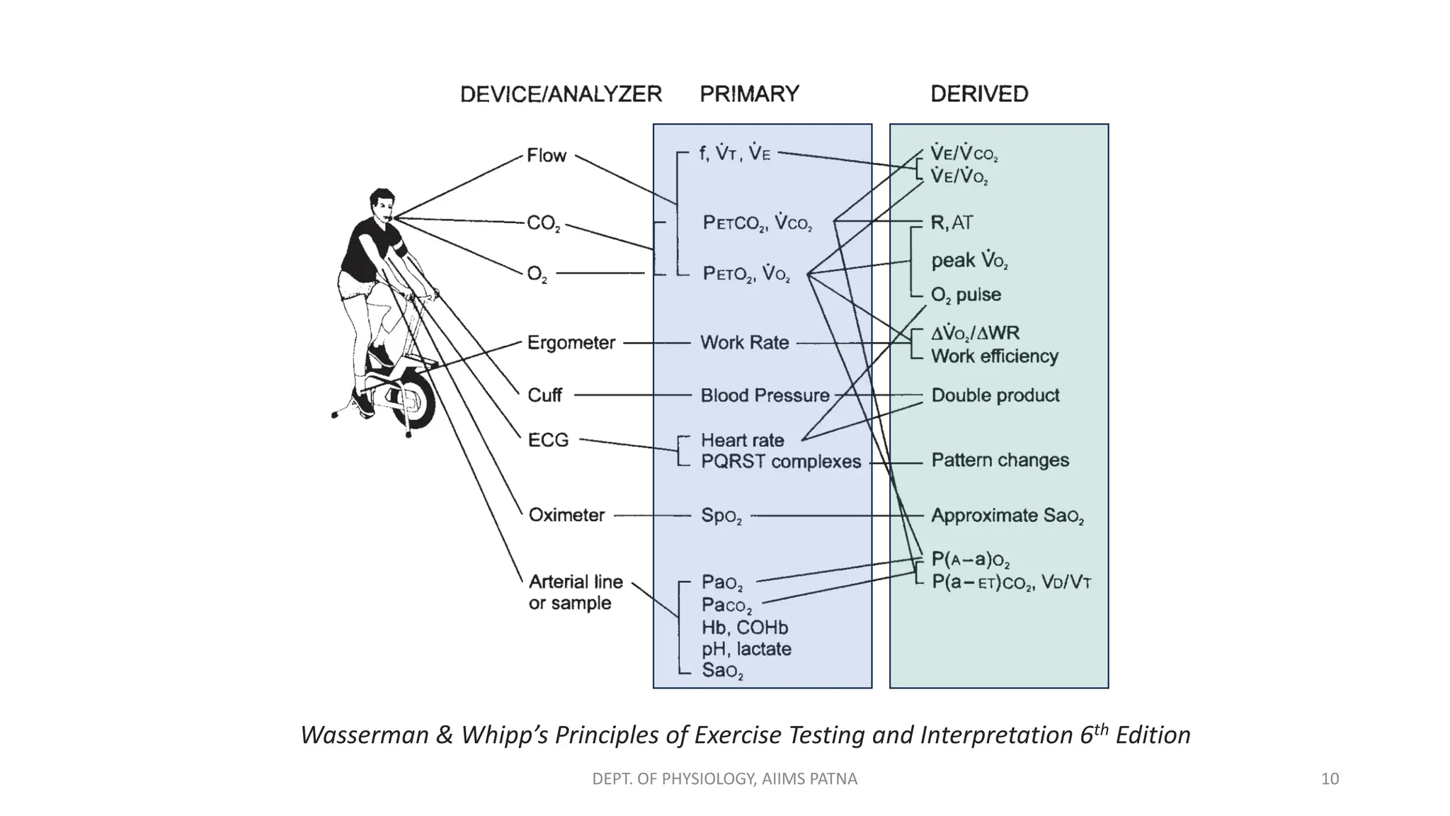 Interpretation of Cardiopulmonary Exercise Testing - Nine Panel Plots | PDF