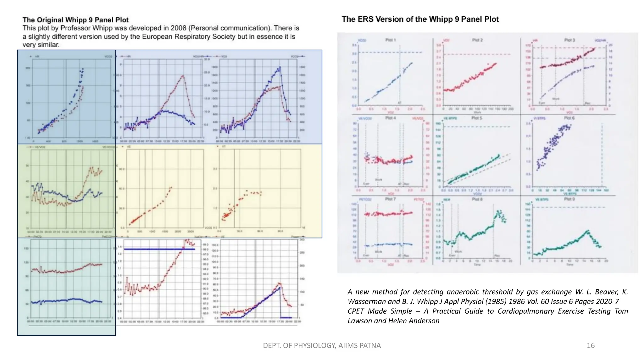 Interpretation of Cardiopulmonary Exercise Testing - Nine Panel Plots | PDF
