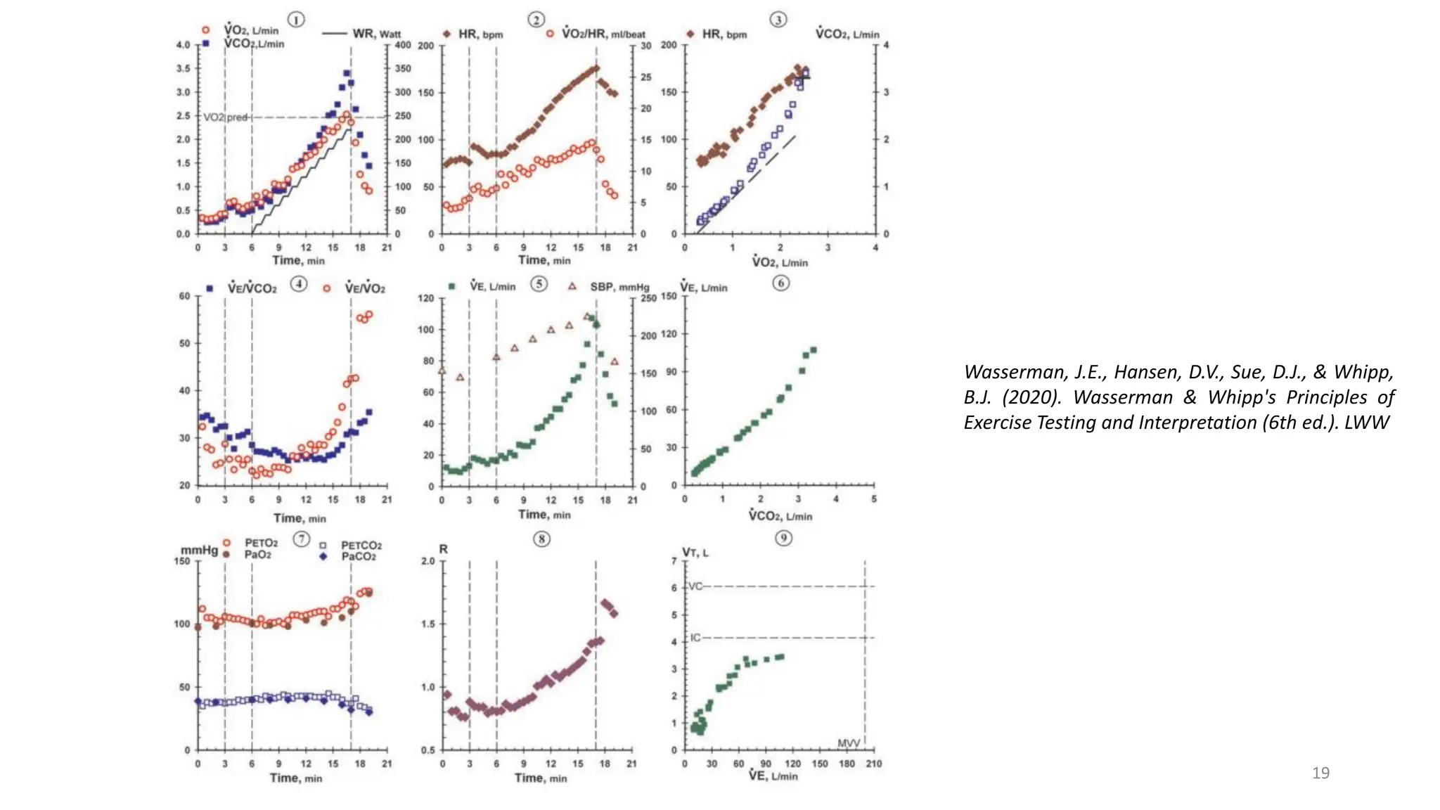 Interpretation of Cardiopulmonary Exercise Testing - Nine Panel Plots | PDF
