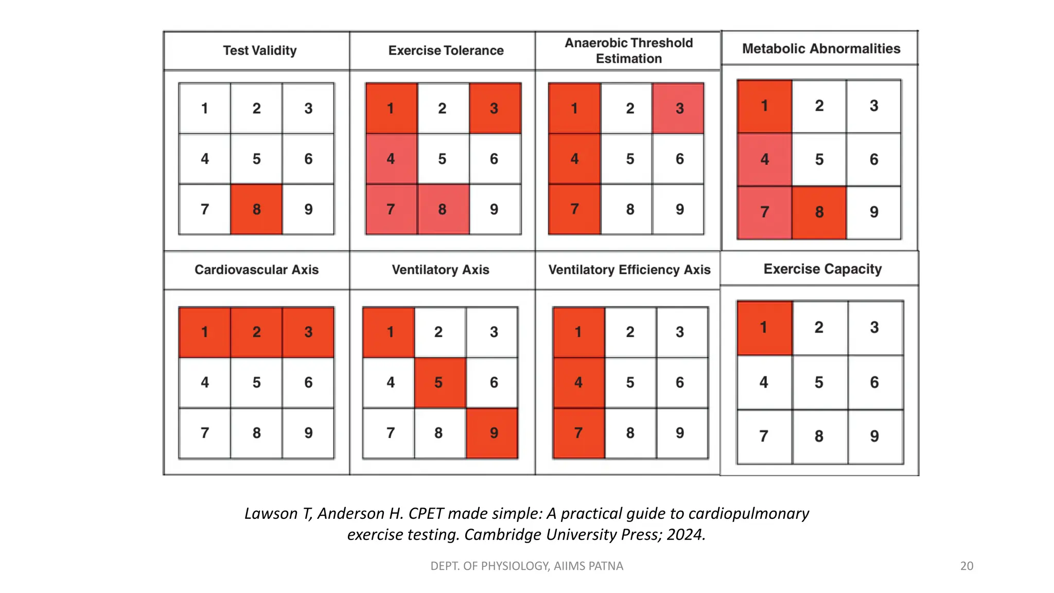 Interpretation of Cardiopulmonary Exercise Testing - Nine Panel Plots | PDF