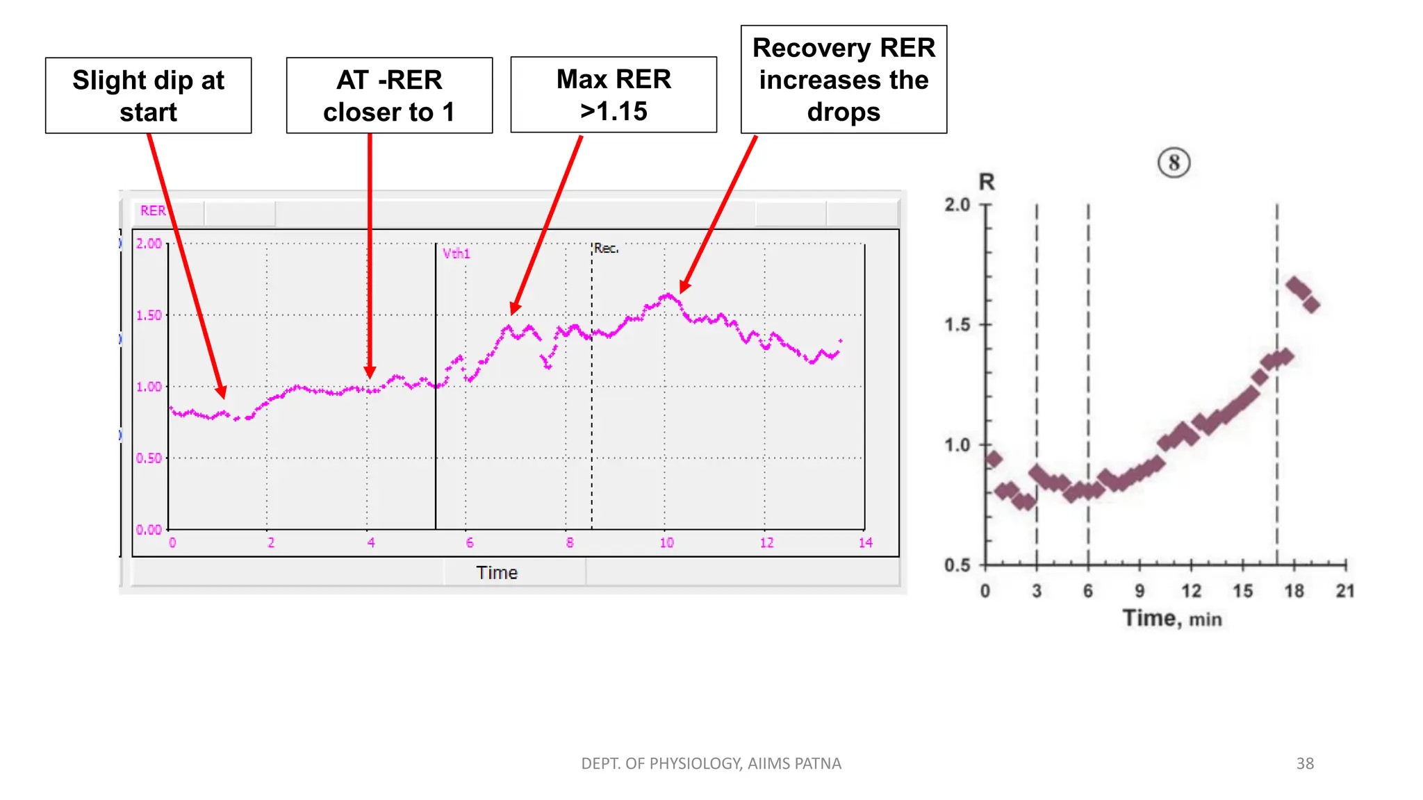 Interpretation of Cardiopulmonary Exercise Testing - Nine Panel Plots | PDF