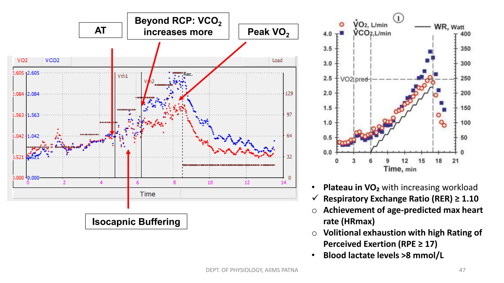 Interpretation of Cardiopulmonary Exercise Testing - Nine Panel Plots | PDF