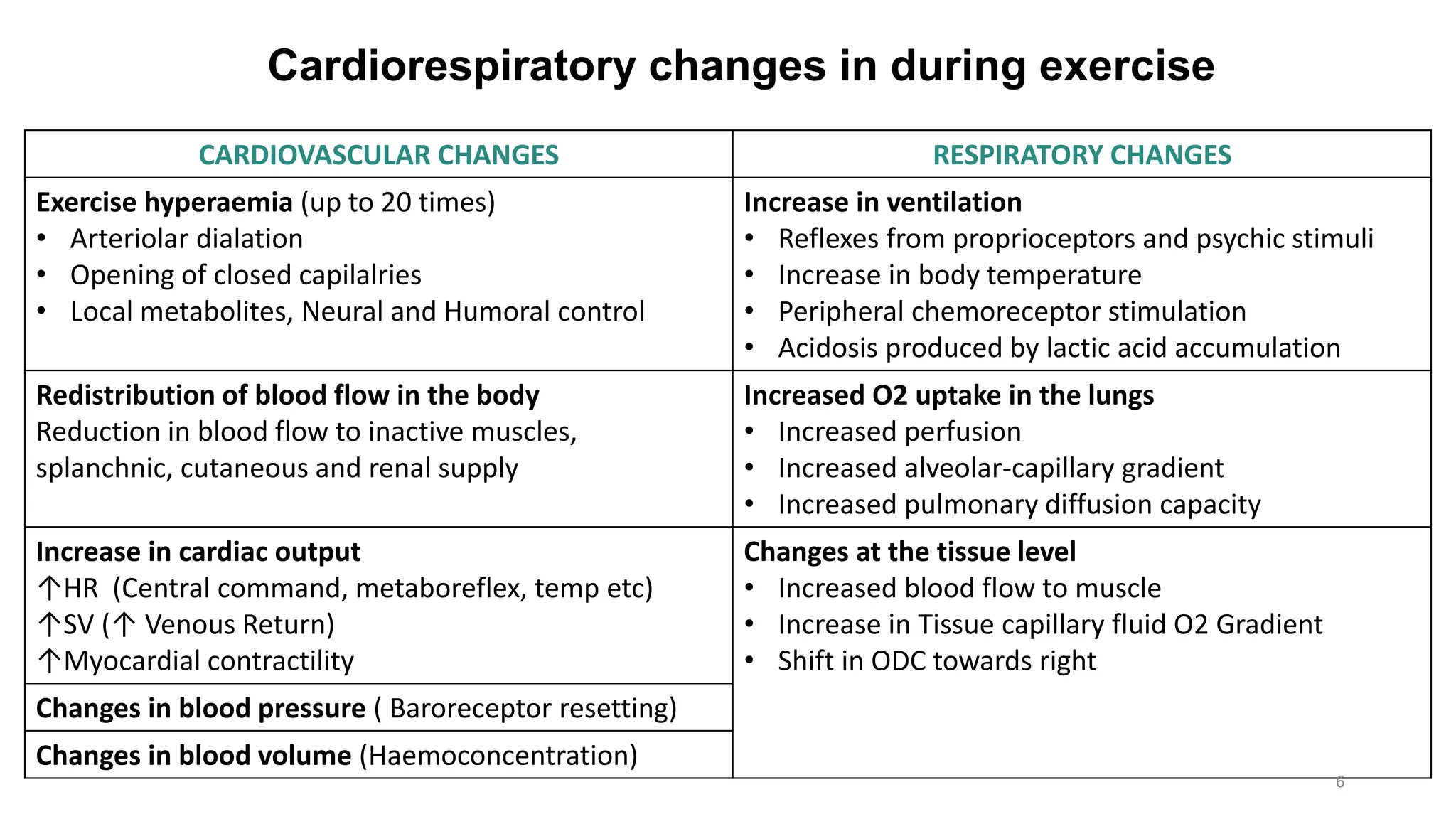 Interpretation of Cardiopulmonary Exercise Testing - Nine Panel Plots | PDF