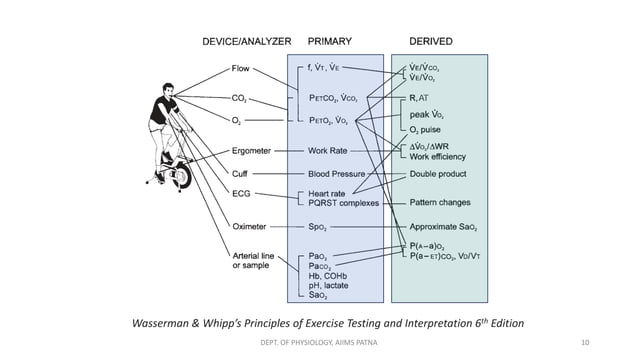 Interpretation of Cardiopulmonary Exercise Testing - Nine Panel Plots | PDF