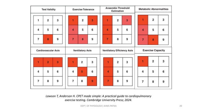 Interpretation of Cardiopulmonary Exercise Testing - Nine Panel Plots | PDF