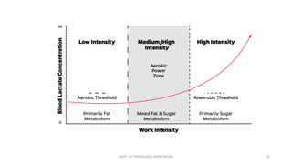 Interpretation of Cardiopulmonary Exercise Testing - Nine Panel Plots | PDF