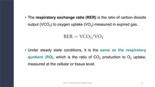 Interpretation of Cardiopulmonary Exercise Testing - Nine Panel Plots | PDF