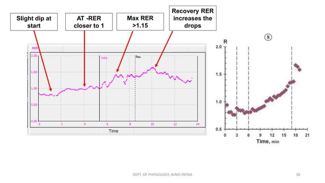 Interpretation of Cardiopulmonary Exercise Testing - Nine Panel Plots | PDF