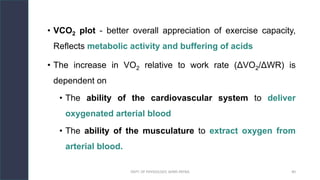 Interpretation of Cardiopulmonary Exercise Testing - Nine Panel Plots | PDF