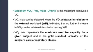 Interpretation of Cardiopulmonary Exercise Testing - Nine Panel Plots | PDF