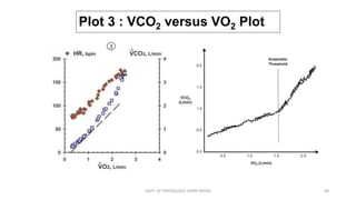 Interpretation of Cardiopulmonary Exercise Testing - Nine Panel Plots | PDF