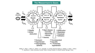Interpretation of Cardiopulmonary Exercise Testing - Nine Panel Plots | PDF