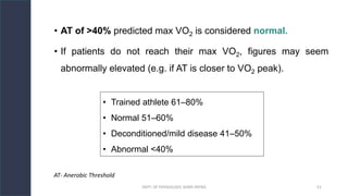 Interpretation of Cardiopulmonary Exercise Testing - Nine Panel Plots | PDF
