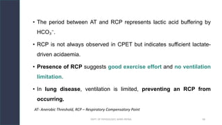 Interpretation of Cardiopulmonary Exercise Testing - Nine Panel Plots | PDF