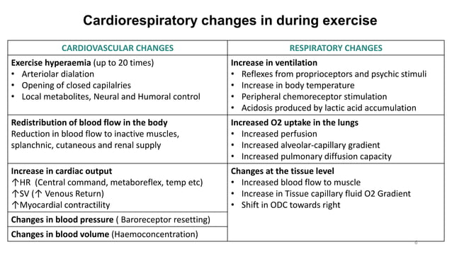 Interpretation of Cardiopulmonary Exercise Testing - Nine Panel Plots | PDF