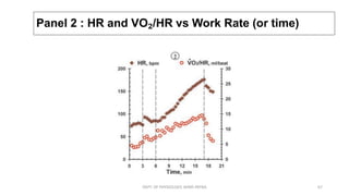 Interpretation of Cardiopulmonary Exercise Testing - Nine Panel Plots | PDF
