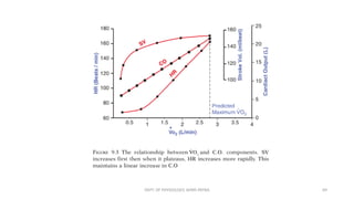 Interpretation of Cardiopulmonary Exercise Testing - Nine Panel Plots | PDF