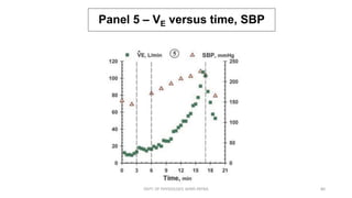 Interpretation of Cardiopulmonary Exercise Testing - Nine Panel Plots | PDF