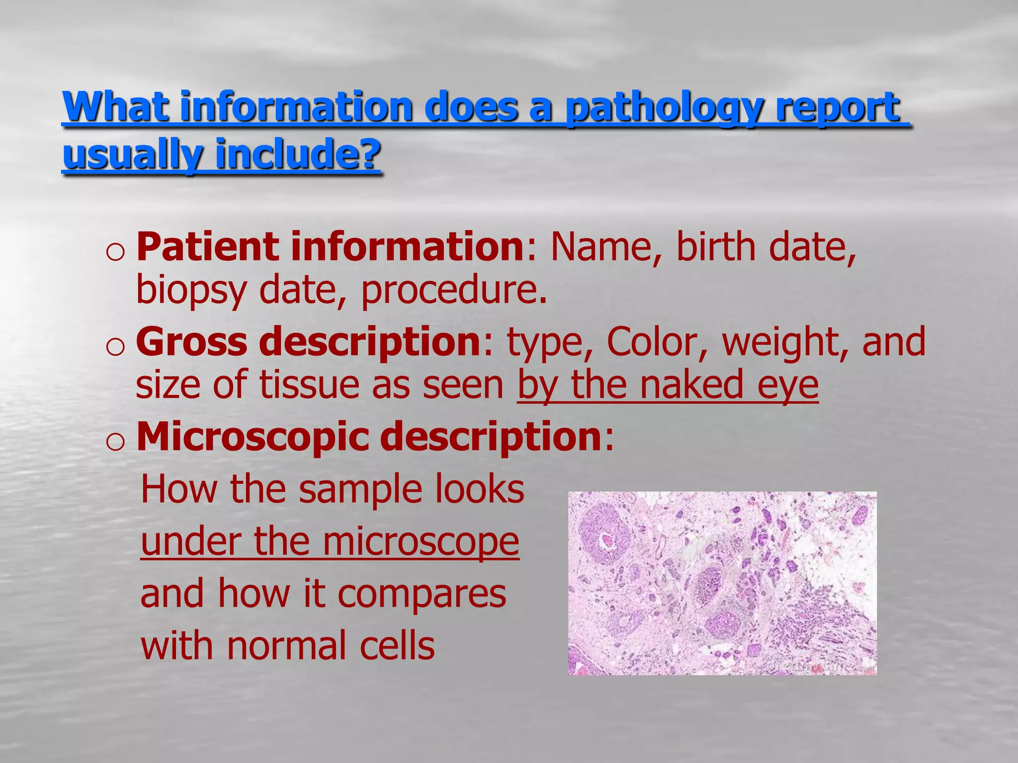 Interpretation of pathology report | PDF