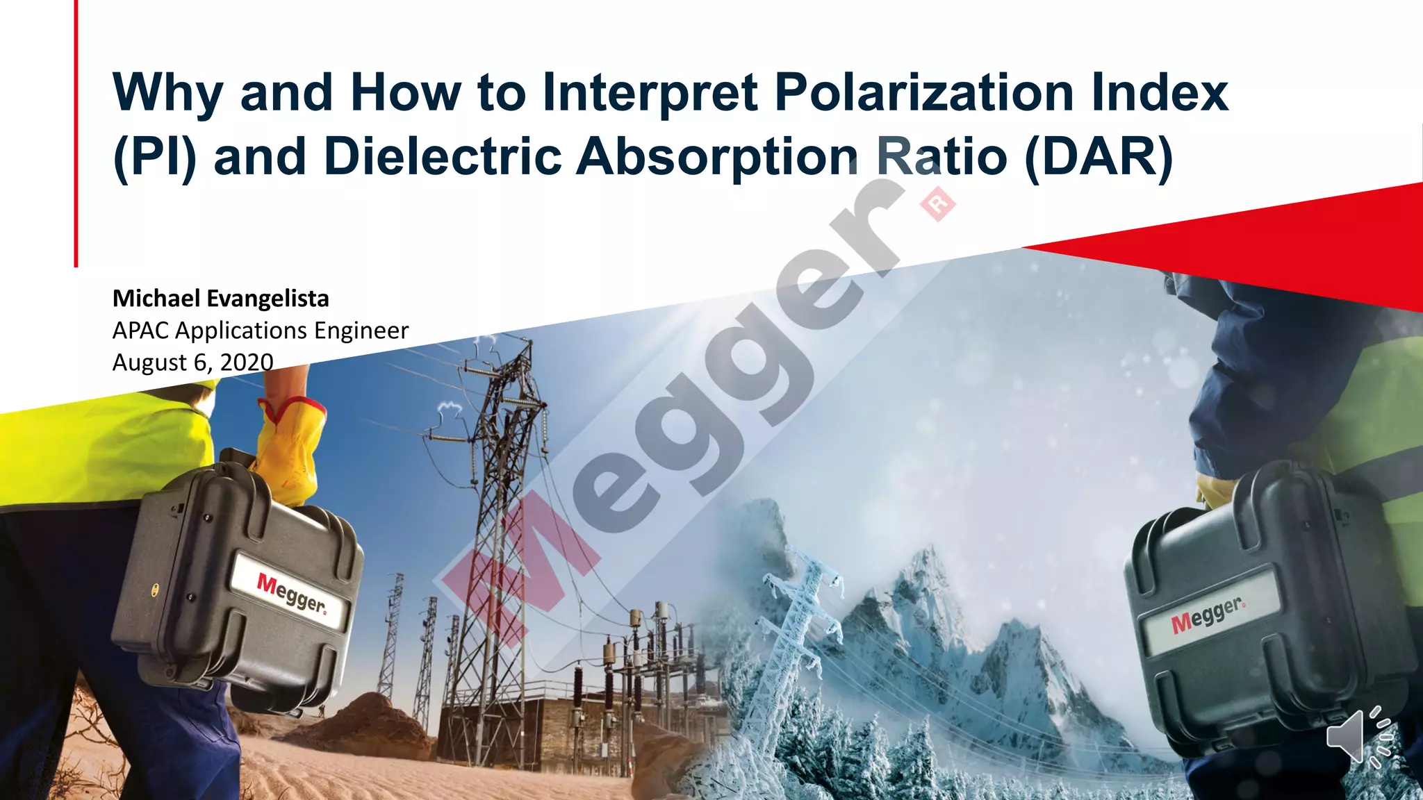 Interpretation of PI and DARr1_ls[53].pdf