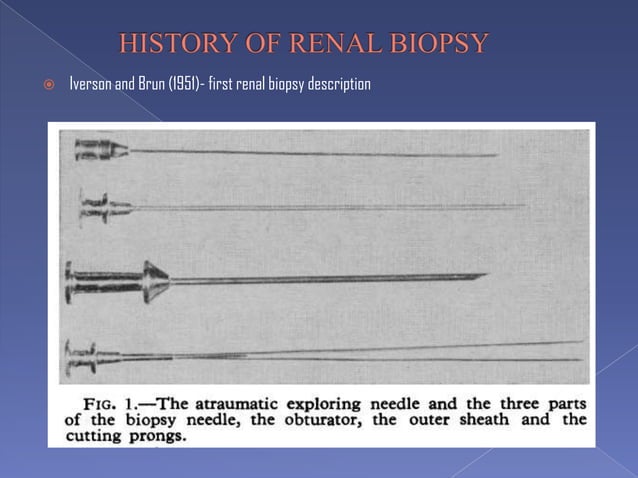 Interpretation of renal biopsy | PPTX