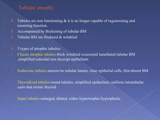 Interpretation of renal biopsy | PPTX