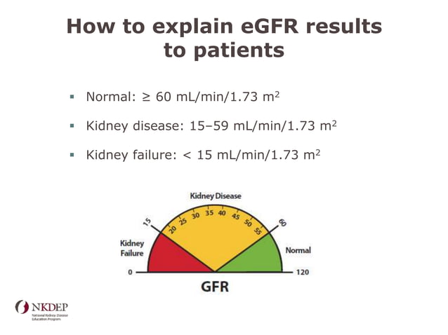 Interpretation of renal diagnostic tests | PPT