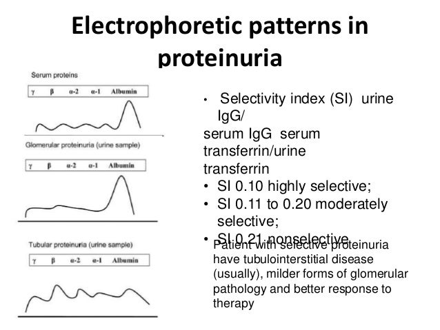 Interpretation of renal diagnostic tests