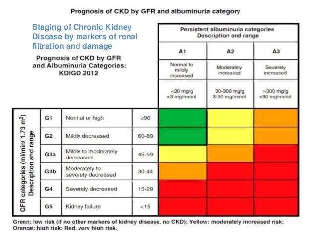 Interpretation of renal diagnostic tests