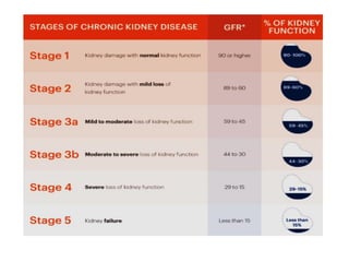 INTERPRETATION OF RENAL FUNCTION TESTS.pdf | Blood Disorders | Diseases ...