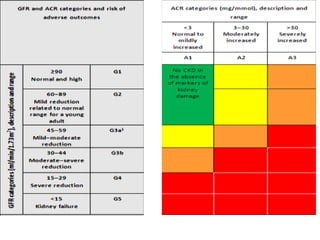 INTERPRETATION OF RENAL FUNCTION TESTS.pdf | Blood Disorders | Diseases ...