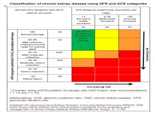 INTERPRETATION OF RENAL FUNCTION TESTS.pdf | Blood Disorders | Diseases ...