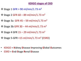 INTERPRETATION OF RENAL FUNCTION TESTS.pdf