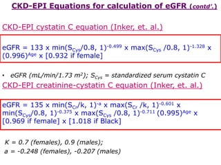 INTERPRETATION OF RENAL FUNCTION TESTS.pdf | Blood Disorders | Diseases ...