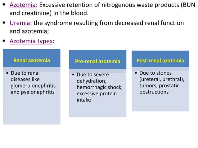 INTERPRETATION OF RENAL FUNCTION TESTS.pdf | Blood Disorders | Diseases ...