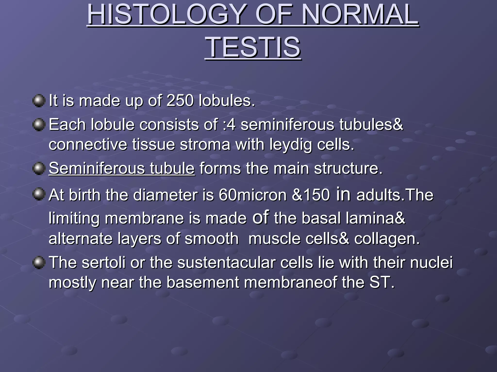 Interpretation of testicular biopsy | PPT